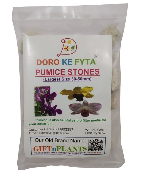 Pumice Stones (30-50 mm), Large Sized Natural Pumice Stones for Orchid ...