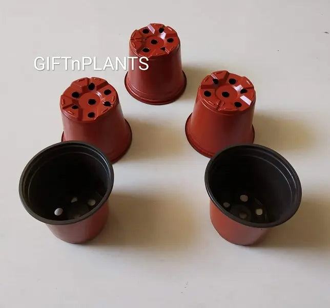 Thermoform Garden Pots (Size - 4 inch)- Light Weight and Flexible ...